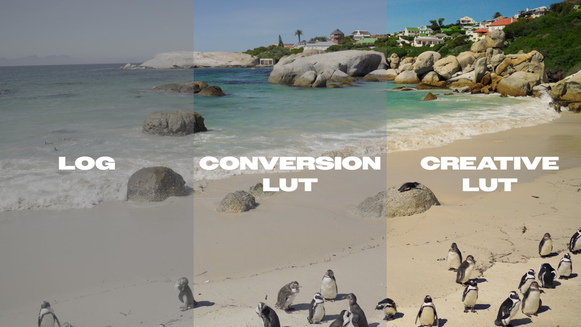 CAPCUT LUT Pack – Vincentcolorfilm